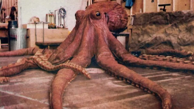 Octopus (The Goonies) | PrinceKodi Wiki | Fandom
