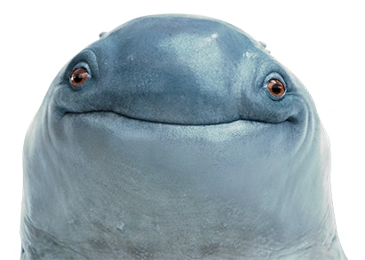 Creech | Monster Moviepedia | Fandom