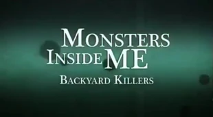 Backyard Killers | Monsters inside me Wiki | Fandom