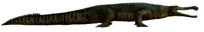 Sarcosuchus | Monsters Resurrected Wiki | FANDOM powered by Wikia