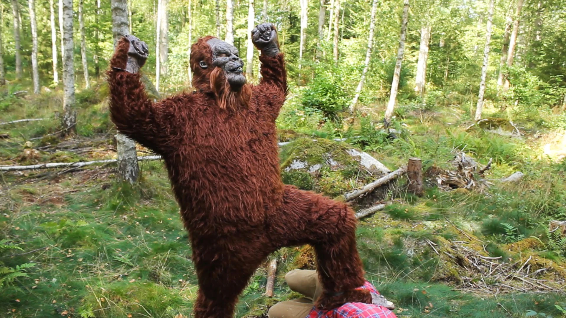 Geti | Fjantopedin | Fandom