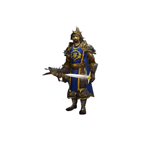 Stormwind Army Field Manual: Uniforms (Arms and Armor) | Moon Guard ...