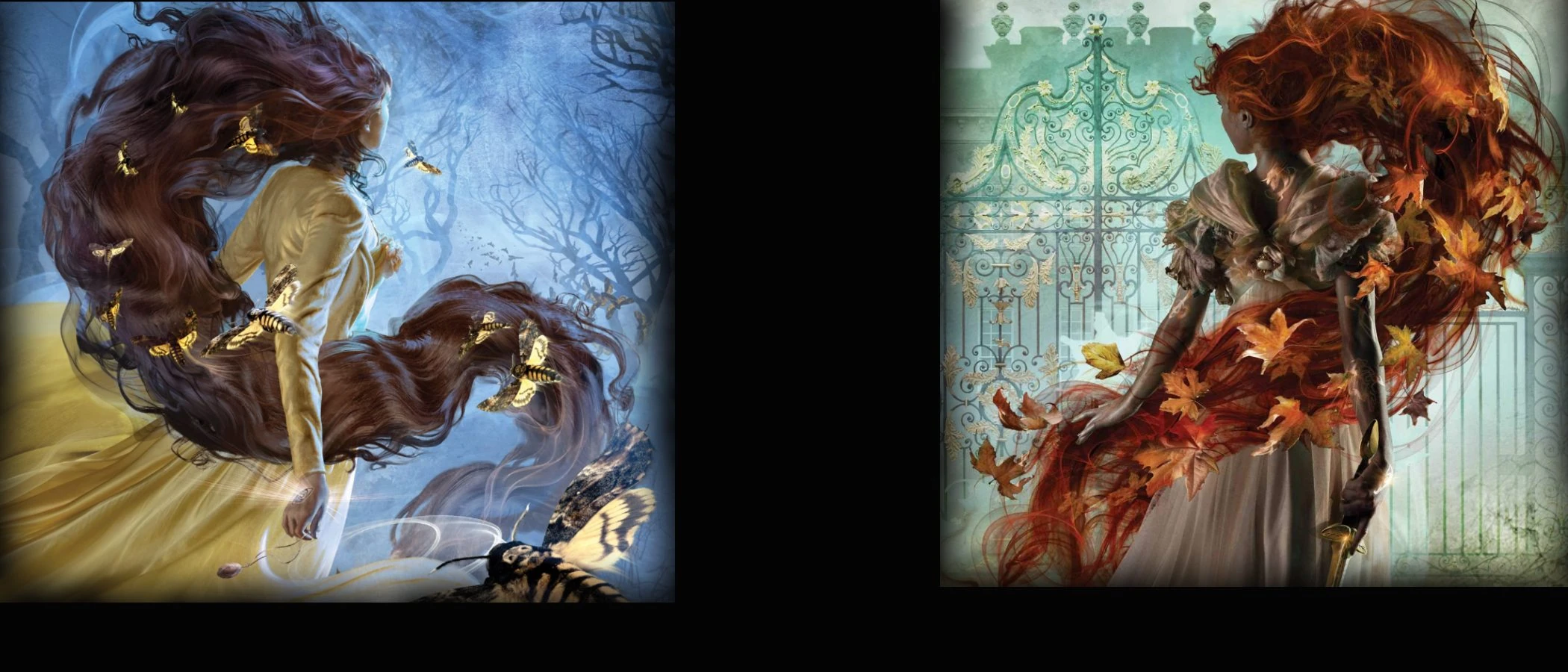 The Authentic Observer | Fandom