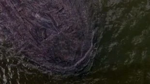 Oil Blob | Movie Monster Wiki | FANDOM powered by Wikia