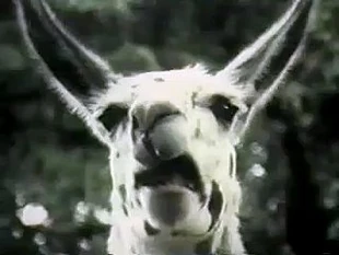 Blood Llamas | Movie Monster Wiki | Fandom