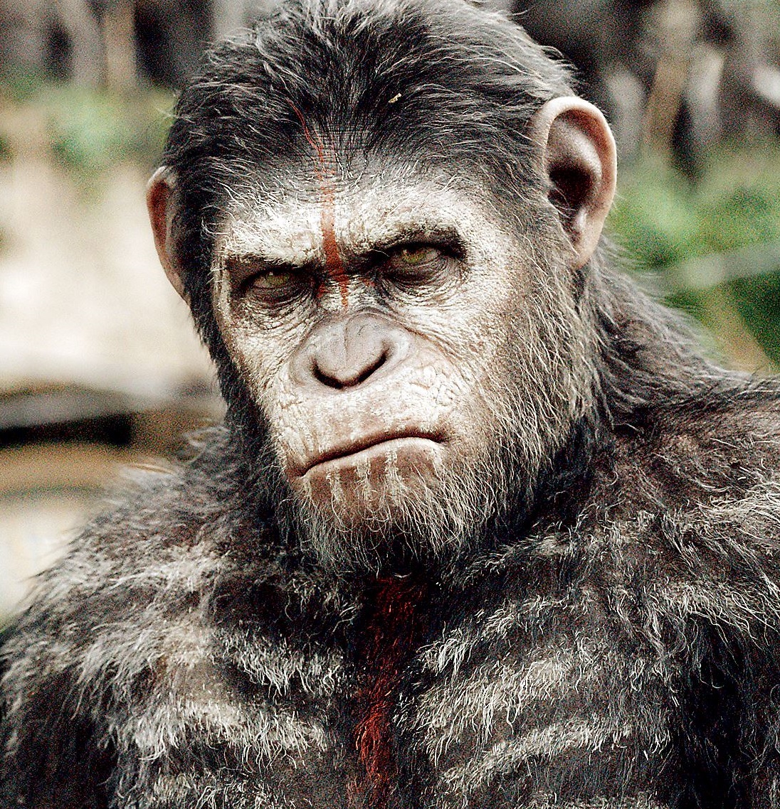 Caesar Movie Database Wiki Fandom Powered By Wikia