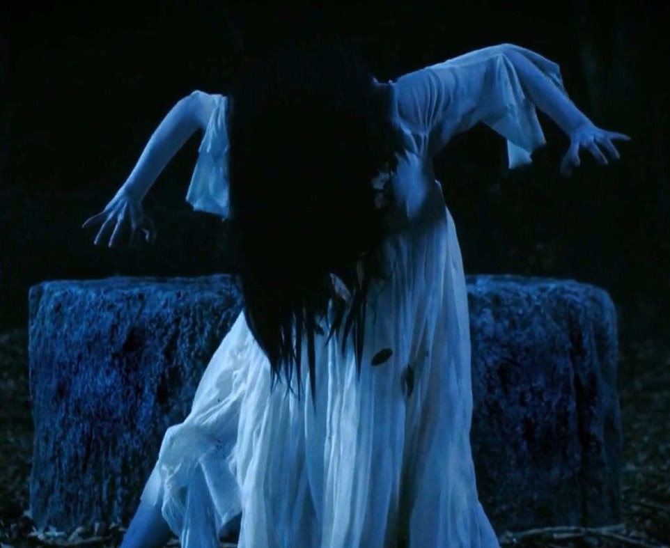 Sadako Vs. Kayako | The Film Killcount Wikia | FANDOM powered by Wikia