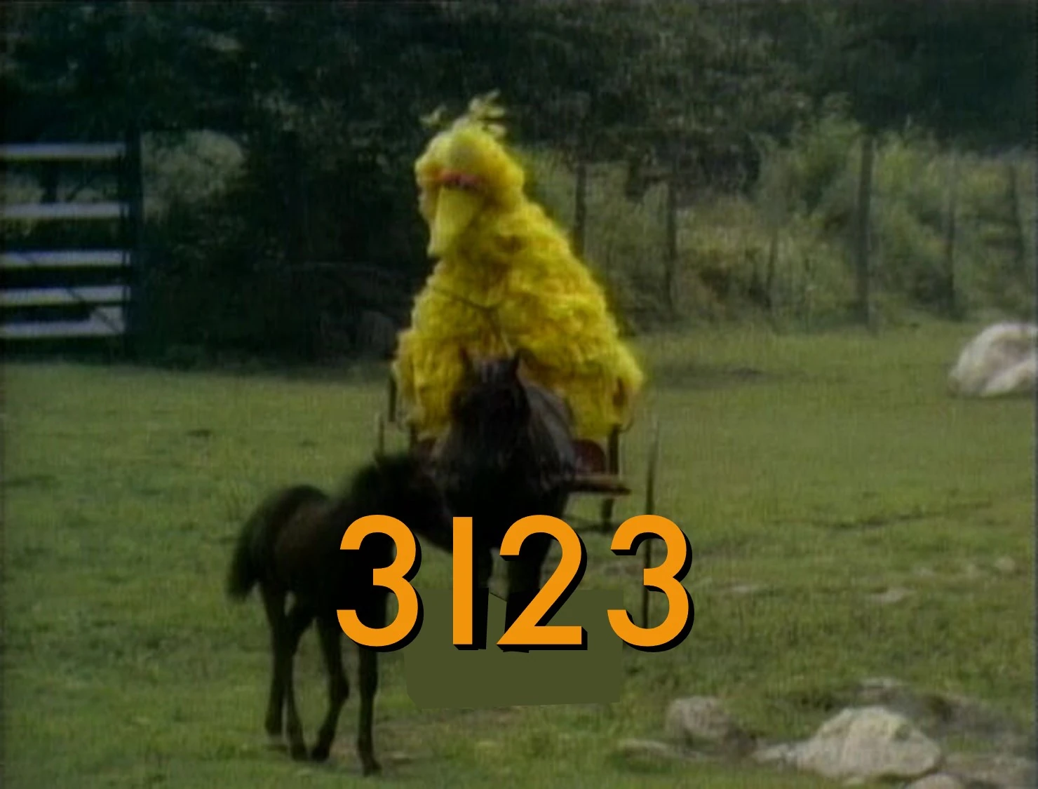 Episode 3123 | Mrmikeymini Wiki | Fandom