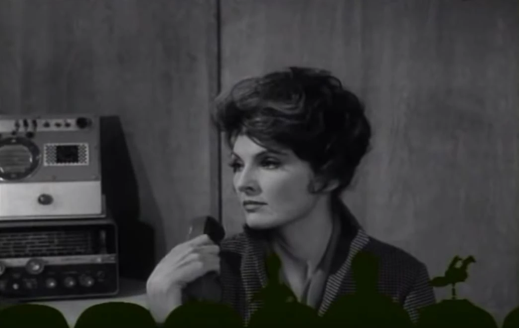 Allison Hayes | MST3K | Fandom