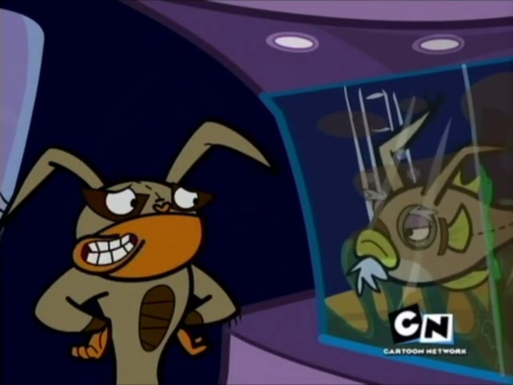 Mucha Lucha The Flea Lol Cartoon Network Cyber Throwb