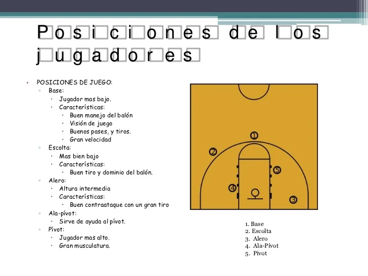 Pociciones | Mundodelbasket Wiki | Fandom