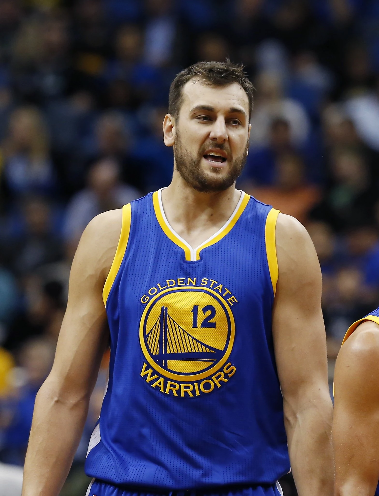 Andrew Bogut (Australiano) | Mundodelbasket Wiki | Fandom