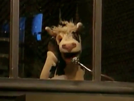 The Cow Announcer | Muppet Wiki | Fandom