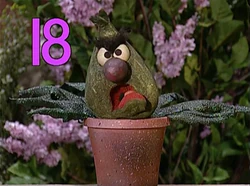 Episode 4049 | Muppet Wiki | Fandom