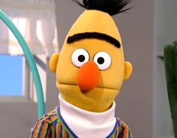 Bert Through the Years | Muppet Wiki | Fandom
