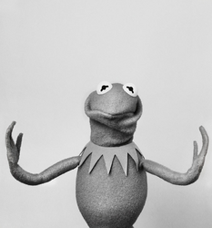 Süddeutsche Zeitung | Muppet Wiki | Fandom