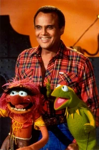 Episode 314: Harry Belafonte | Muppet Wiki | Fandom