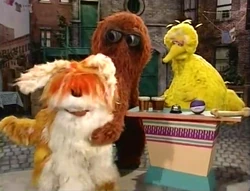 Episode 3942 | Muppet Wiki | Fandom