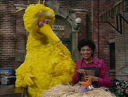 Episode 3854 | Muppet Wiki | FANDOM powered by Wikia