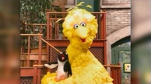 Shivers the Penguin | Muppet Wiki | Fandom