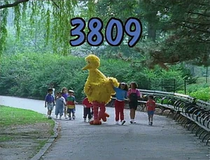 Episode 3809 | Muppet Wiki | FANDOM powered by Wikia