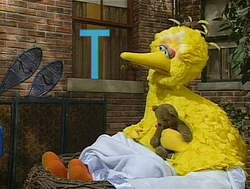 Episode 3884 | Muppet Wiki | Fandom