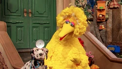 Episode 4901 | Muppet Wiki | Fandom