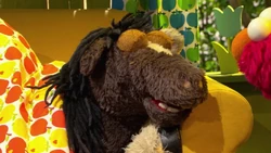 Muppets who grow eyelids | Muppet Wiki | Fandom