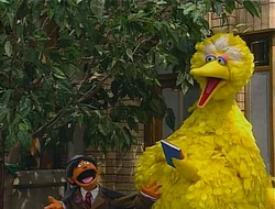 Episode 3343 | Muppet Wiki | FANDOM powered by Wikia