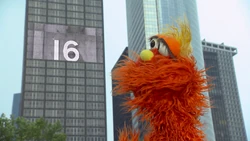 Episode 4271 | Muppet Wiki | Fandom