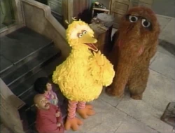 Episode 2590 | Muppet Wiki | Fandom