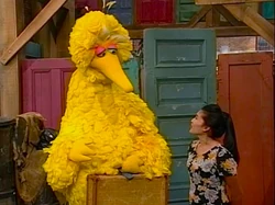 Episode 3581 | Muppet Wiki | Fandom