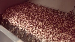 Episode 4912 | Muppet Wiki | Fandom