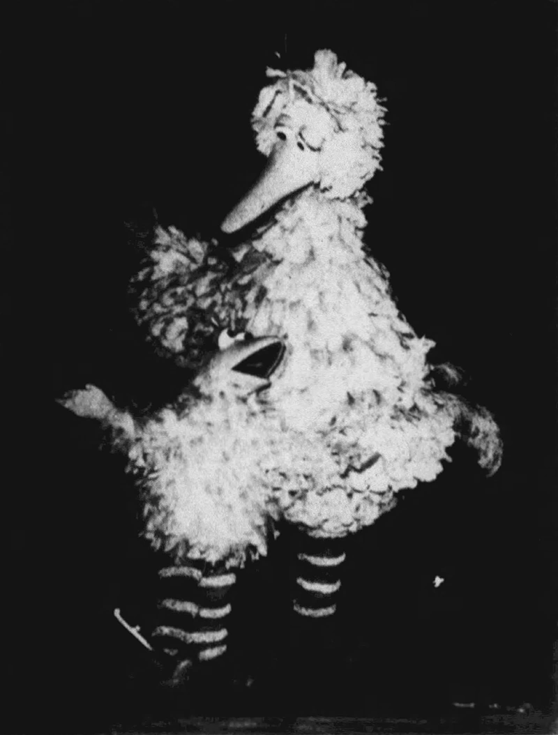 Small Bird | Muppet Wiki | Fandom