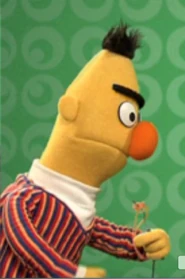 Bert Through the Years | Muppet Wiki | Fandom