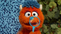 Episode 5031 | Muppet Wiki | Fandom