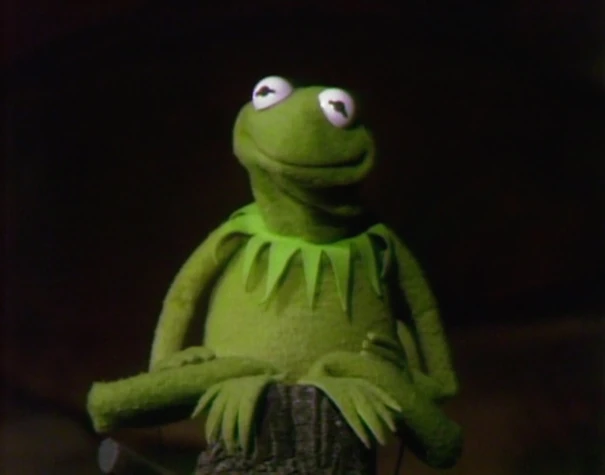 Kermit the Frog Through the Years | Muppet Wiki | FANDOM powered by Wikia