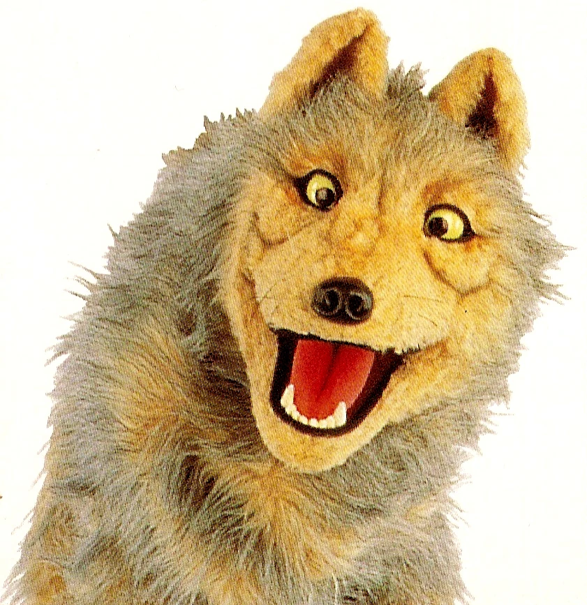 Johnny the Wolf | Muppet Wiki | Fandom