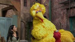 Episode 4253 | Muppet Wiki | Fandom