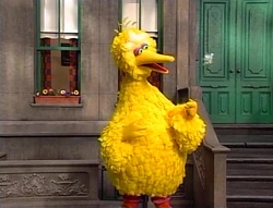Episode 3484 | Muppet Wiki | Fandom