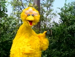 Episode 3266 | Muppet Wiki | FANDOM powered by Wikia