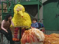 Episode 3473 | Muppet Wiki | Fandom