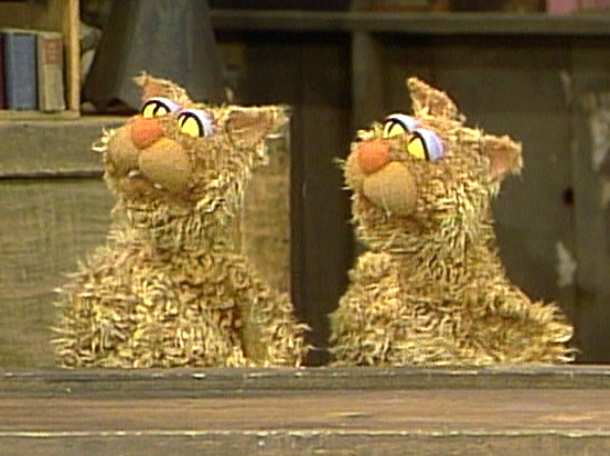 Obscure and minor "Sesame Street" characters of my childhood!: wile ...