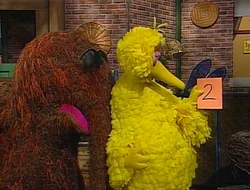 Episode 3803 | Muppet Wiki | FANDOM powered by Wikia