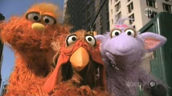 Episode 4175 | Muppet Wiki | FANDOM powered by Wikia