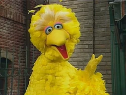 Episode 3938 | Muppet Wiki | Fandom