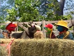 Episodio 752 | Muppet Wiki | FANDOM powered by Wikia