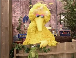 Episode 3993 | Muppet Wiki | FANDOM powered by Wikia