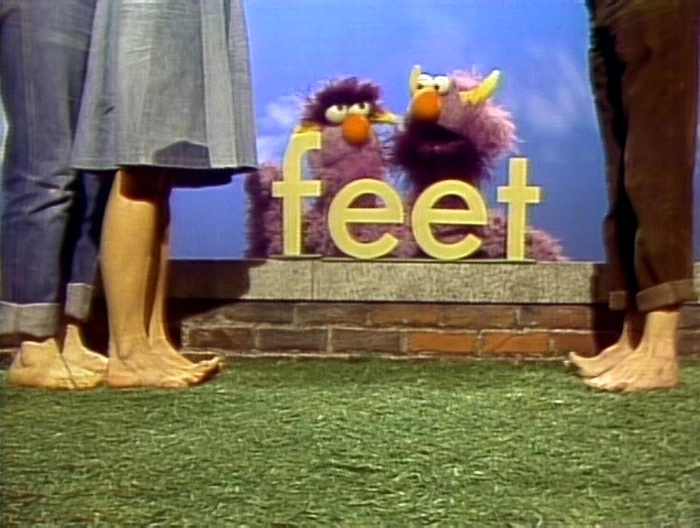 Episode 1367 | Muppet Wiki | FANDOM powered by Wikia