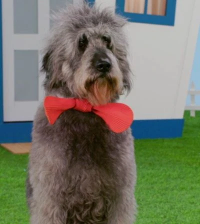 Schmoodle | Muppet Wiki | Fandom